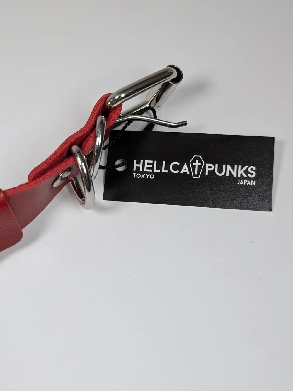 Hellcat Punks | Accessories | Hellcat Punks Studded Wing Collar Oring ...